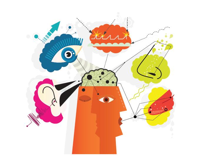 Why Sensory Experiences are the Foundations of Early Learning ...