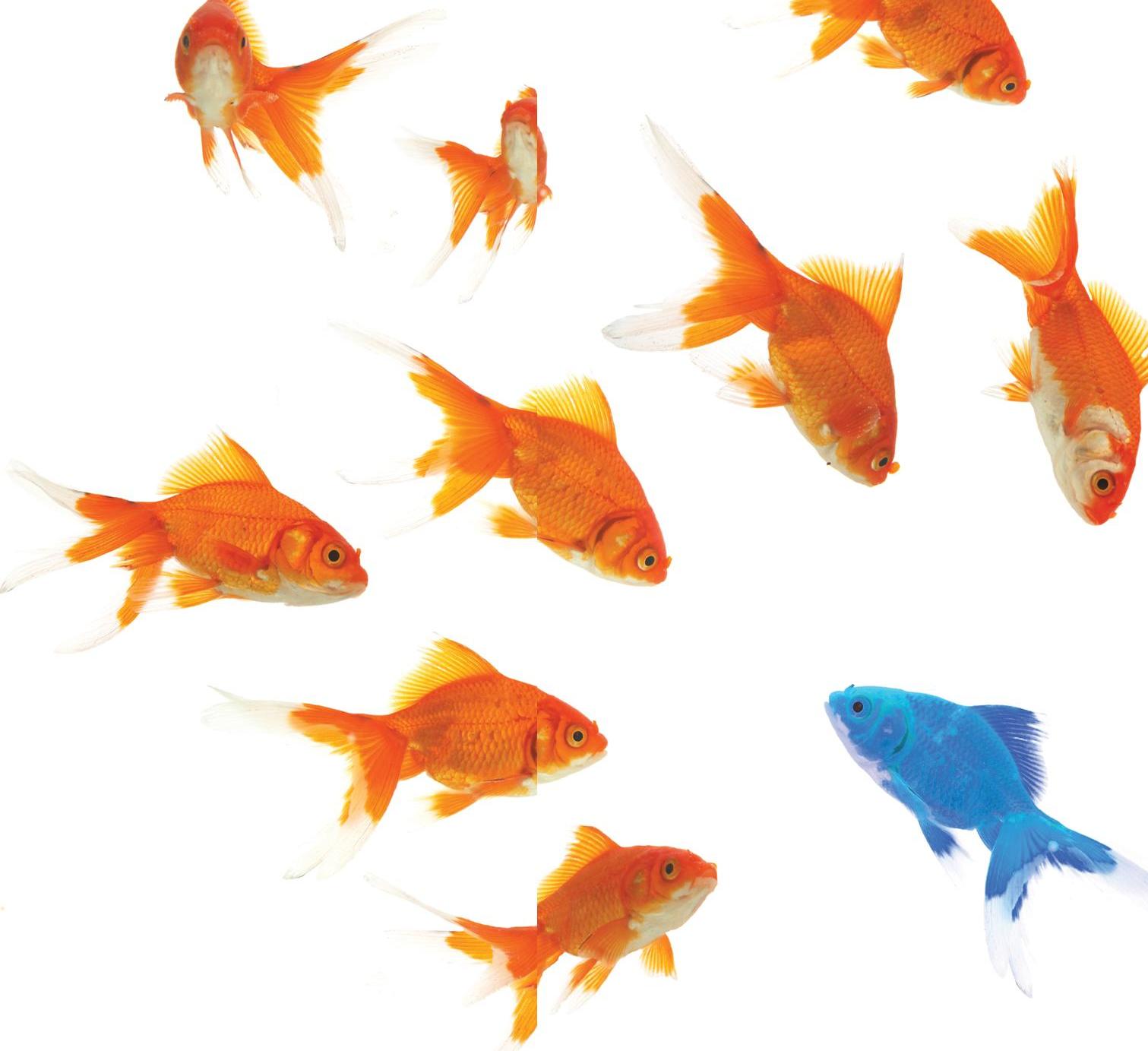 Tips on Helping Your Early Years Setting Stand Out | Early Years ...