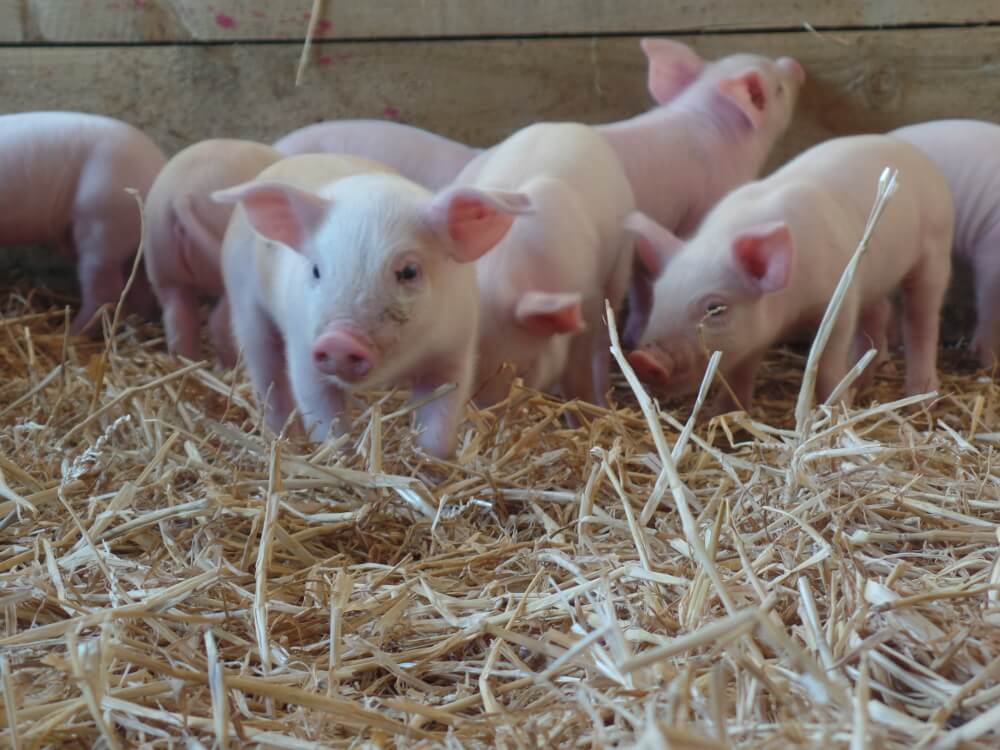 Discover – Explore – Play! | Product Focus | Teach Early Years